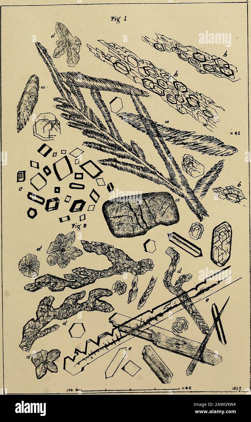 Kidney diseases, urinary deposits, and calculous disorders : their ...