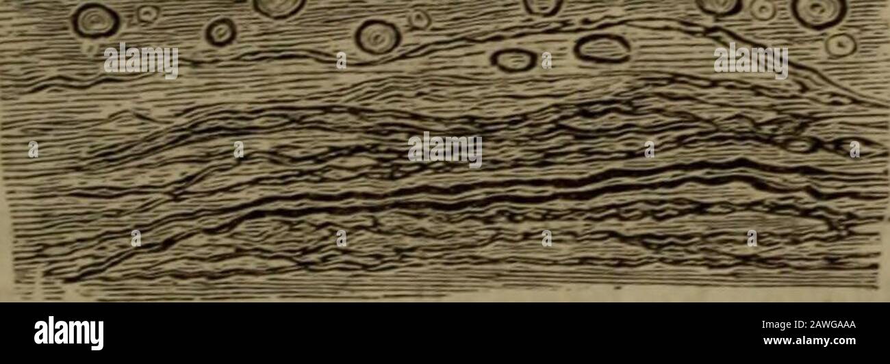 Mit cilien hi-res stock photography and images - Alamy