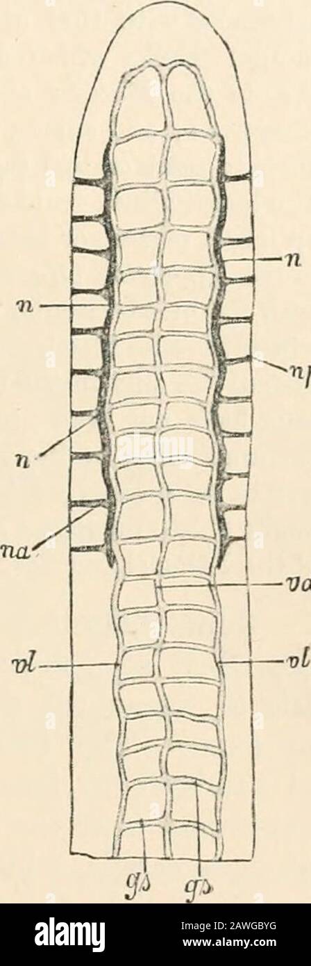Twoparts hi-res stock photography and images - Alamy