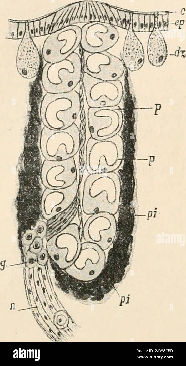 Pigment pits hi-res stock photography and images - Alamy