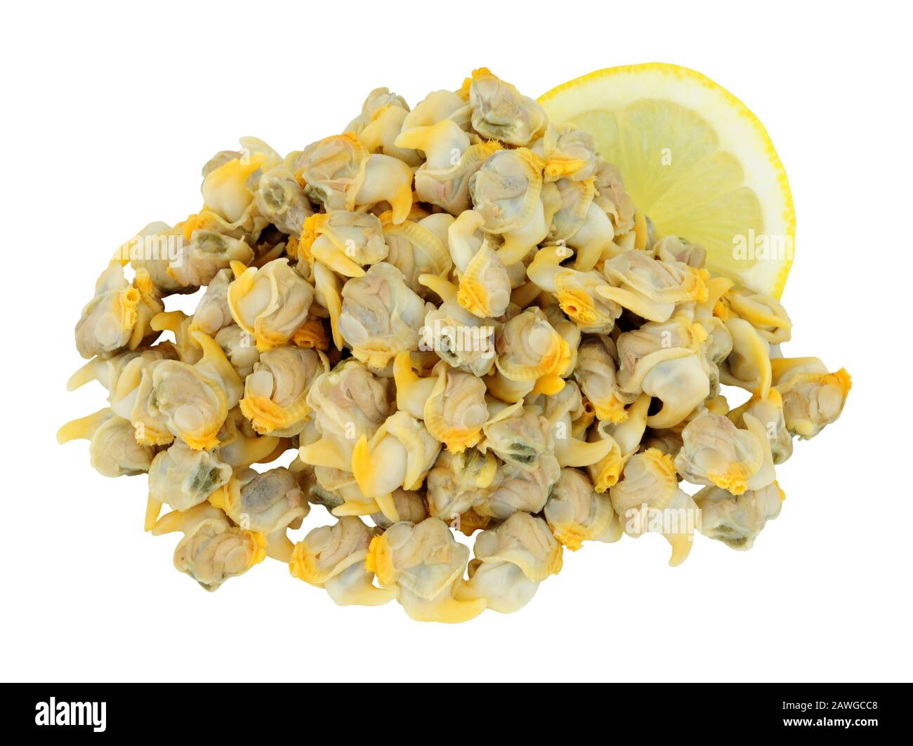 Pile of pickled cooked shelled cockle shellfish meat isolated on a ...