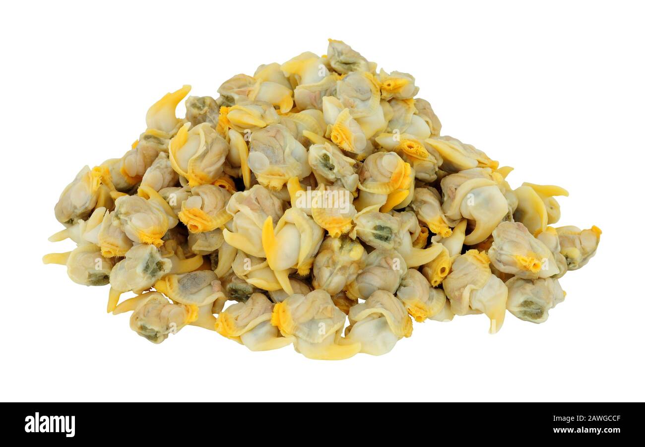 Pile of pickled cooked shelled cockle shellfish meat isolated on a ...