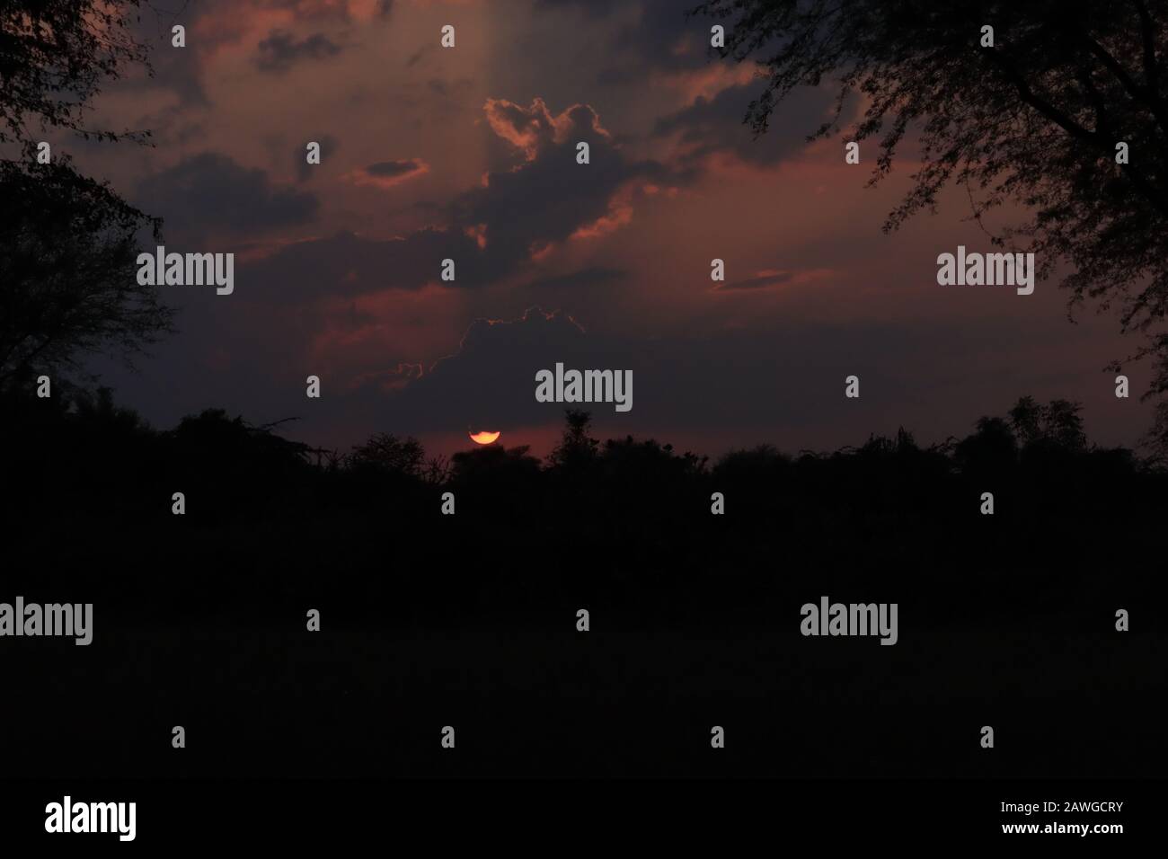 Indian village sunset silhouette hi-res stock photography and images ...
