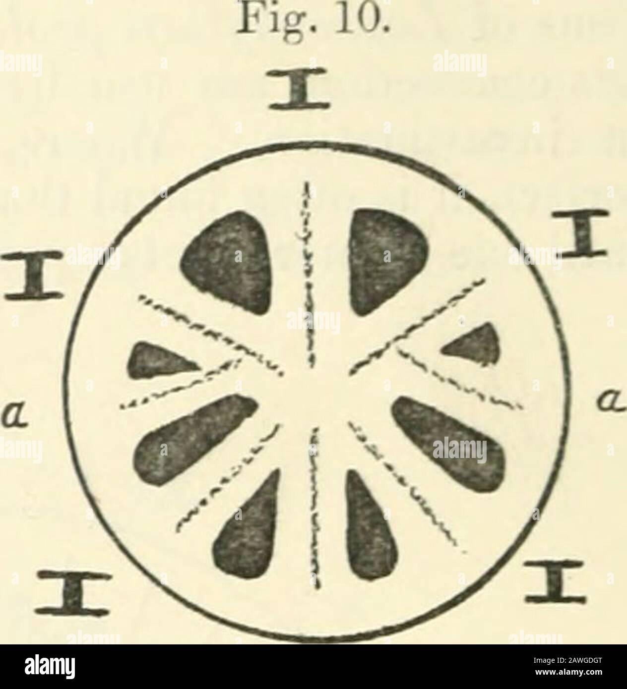 The annals and magazine of natural history : zoology, botany, and ...