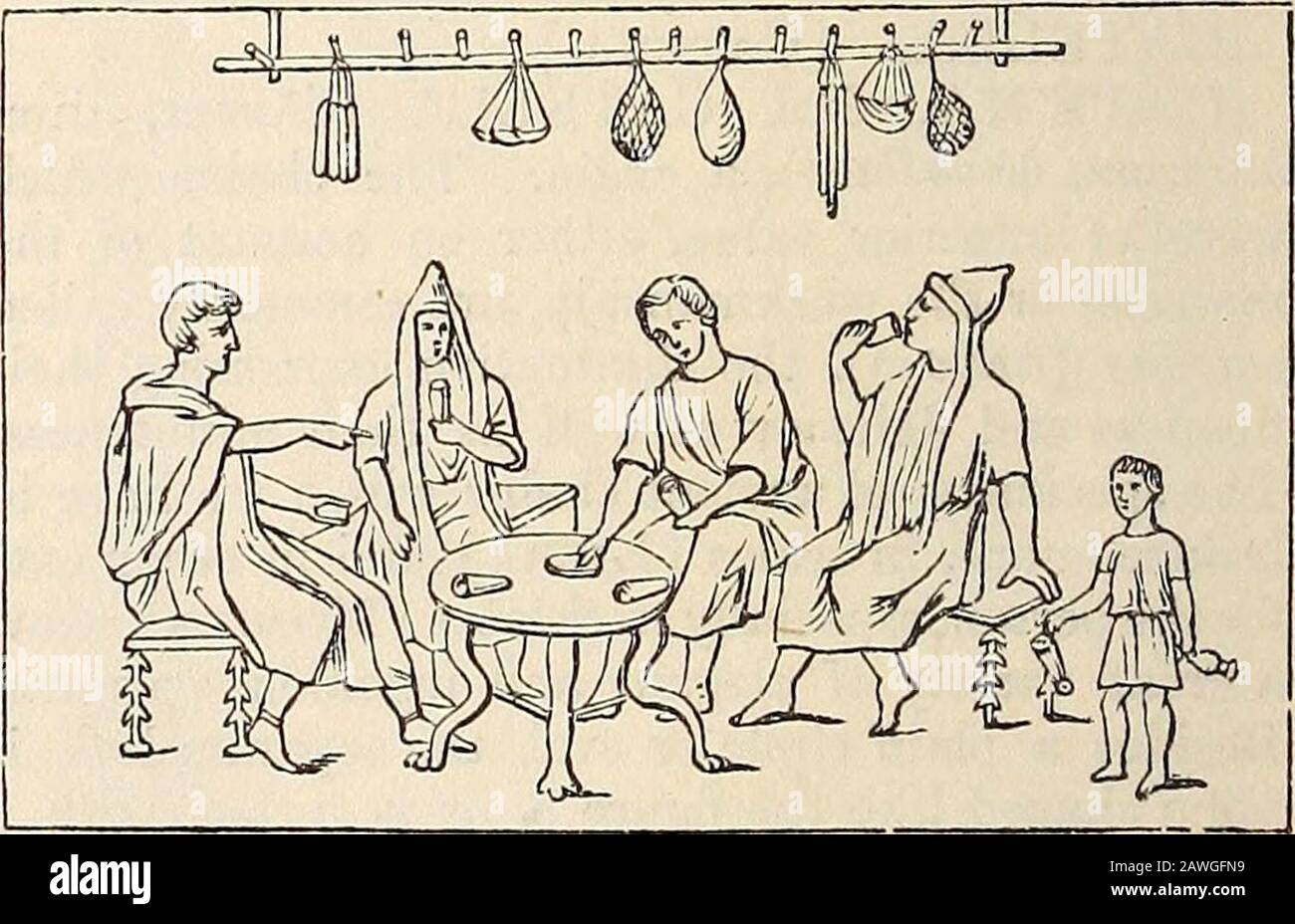 Popinae hi-res stock photography and images - Alamy