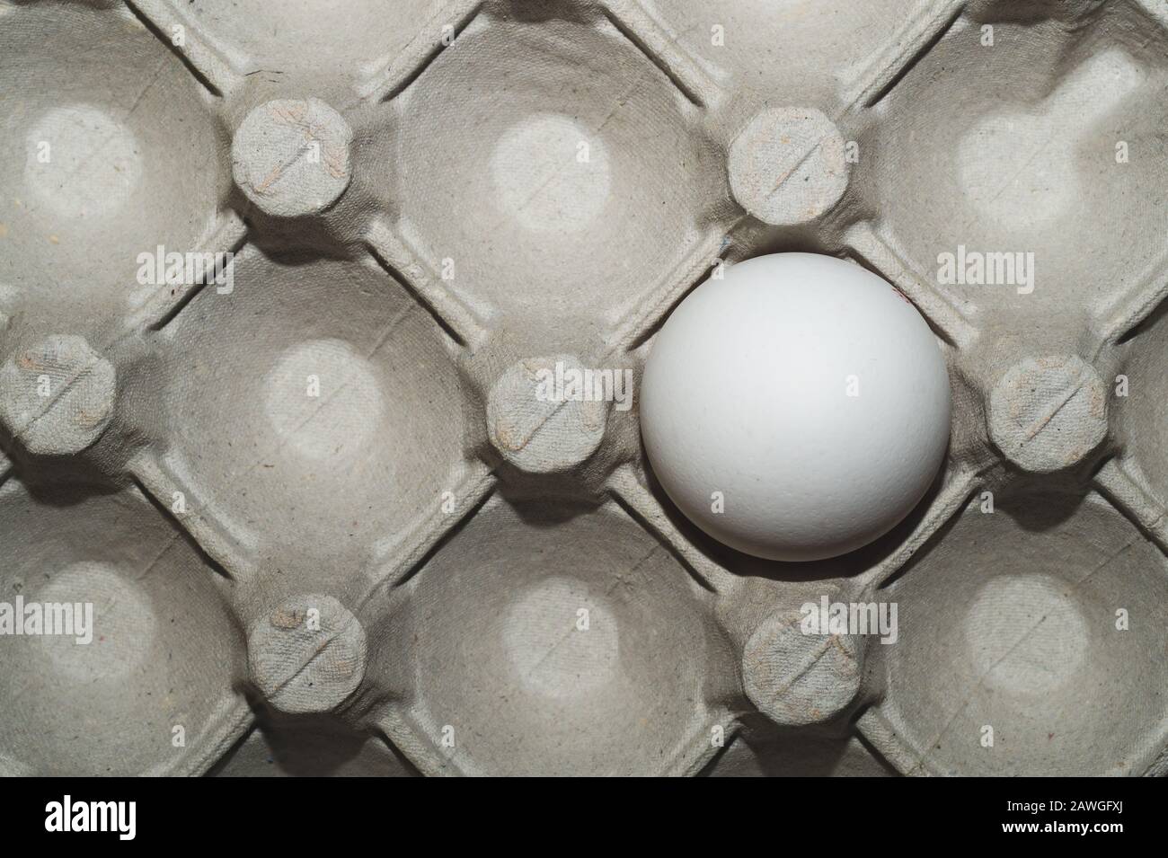 White egg in carton box background. food ingredient. protein nutrition ...