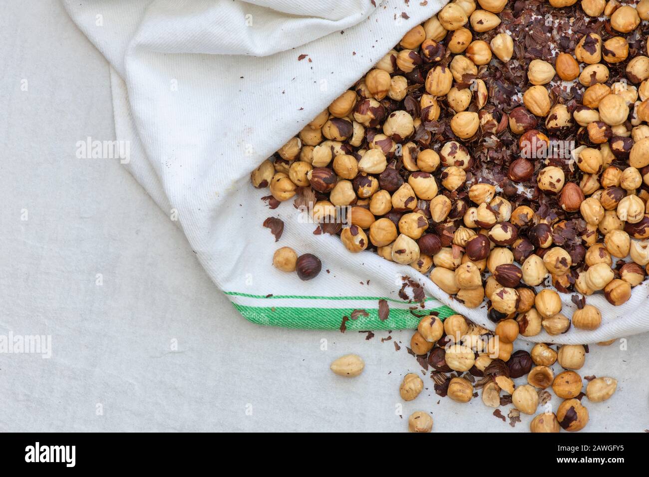 Corylus avellana. Cleaning off skins of roasted hazelnuts in a towel ...