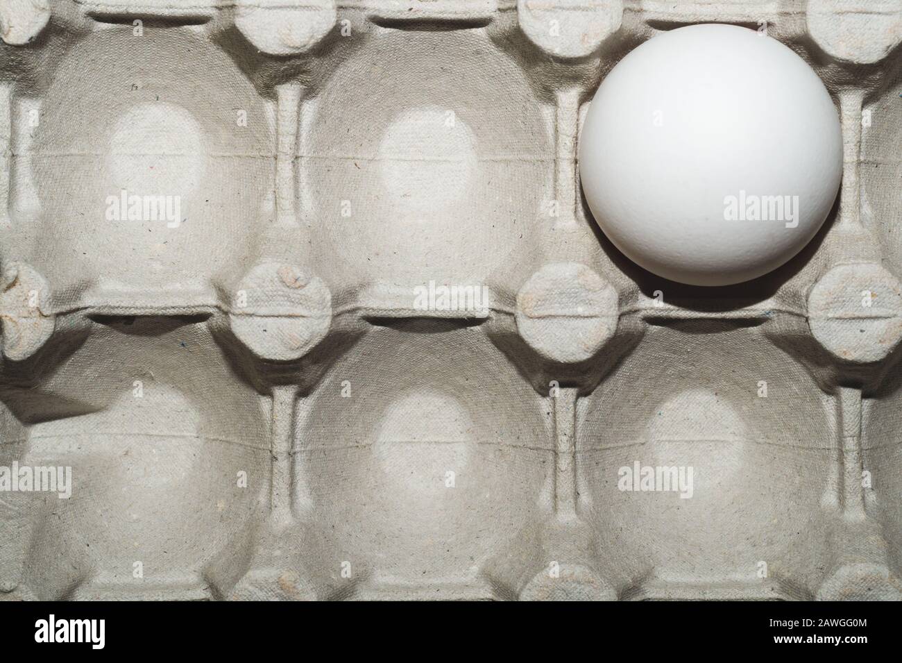 White egg in carton box background. food ingredient. protein nutrition ...