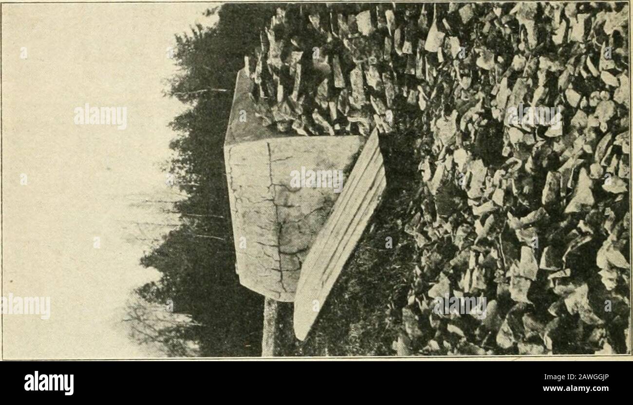 Human excreta hi-res stock photography and images - Alamy