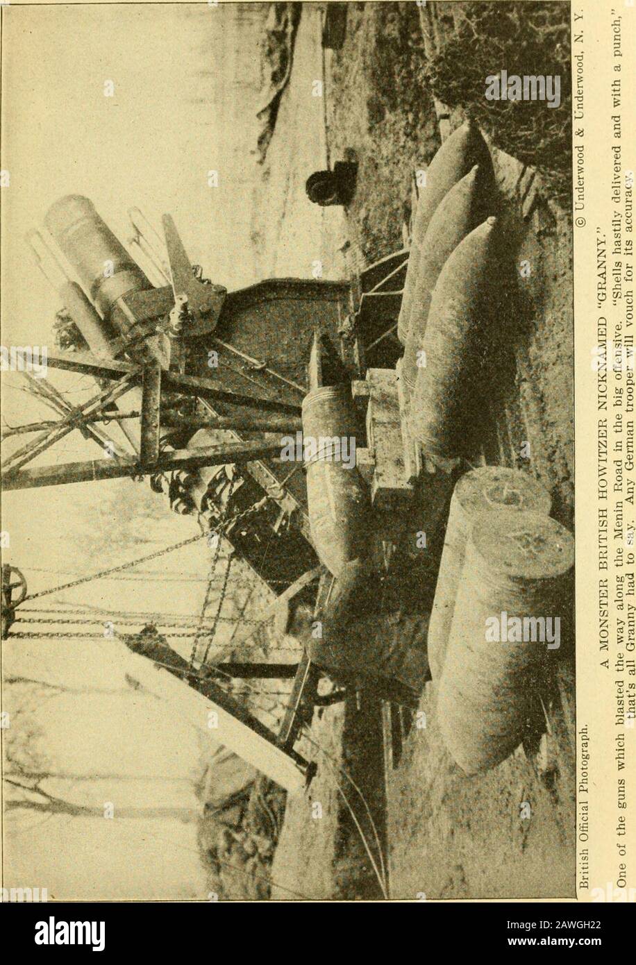 15 inch shell hi-res stock photography and images - Alamy