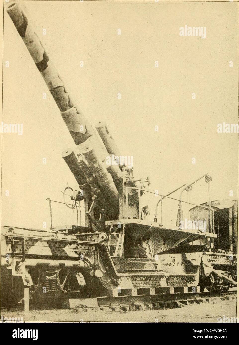 16 inch shell hi-res stock photography and images - Alamy