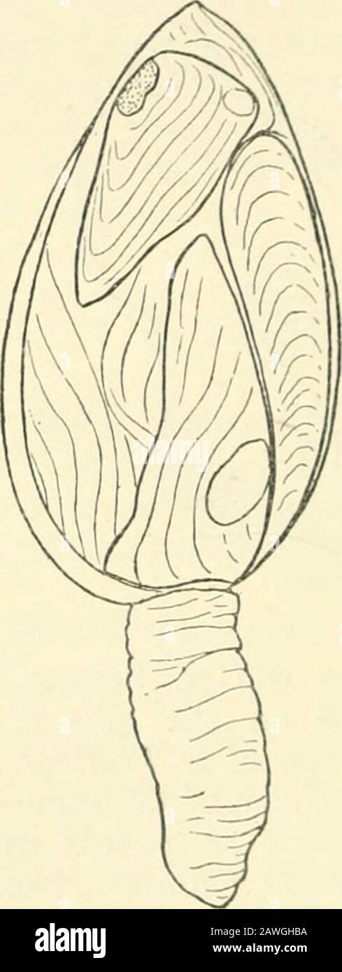 Seven Valves High Resolution Stock Photography and Images - Alamy