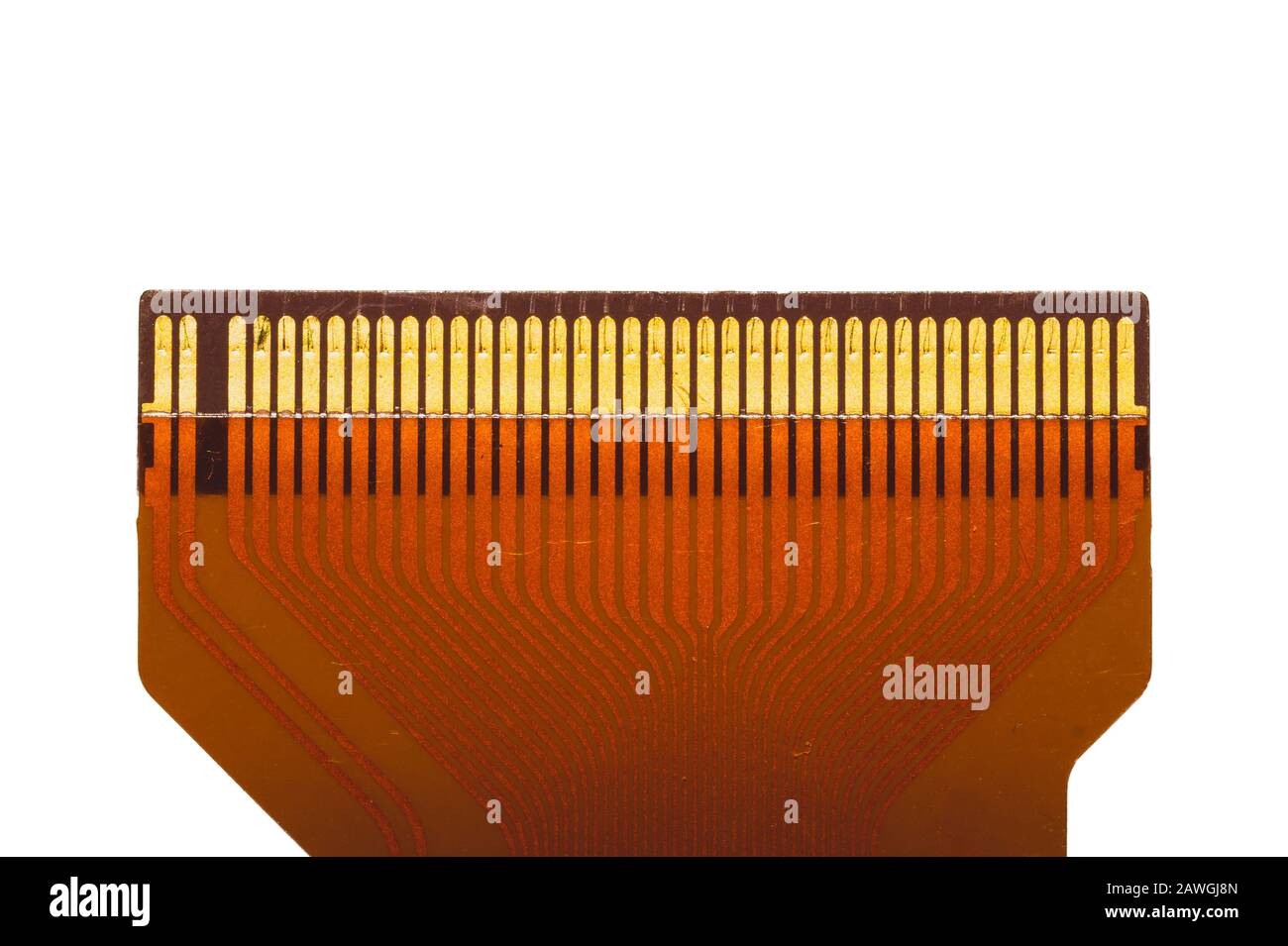 Flat ribbon cable isolated on white. flat connector with golden pins ...
