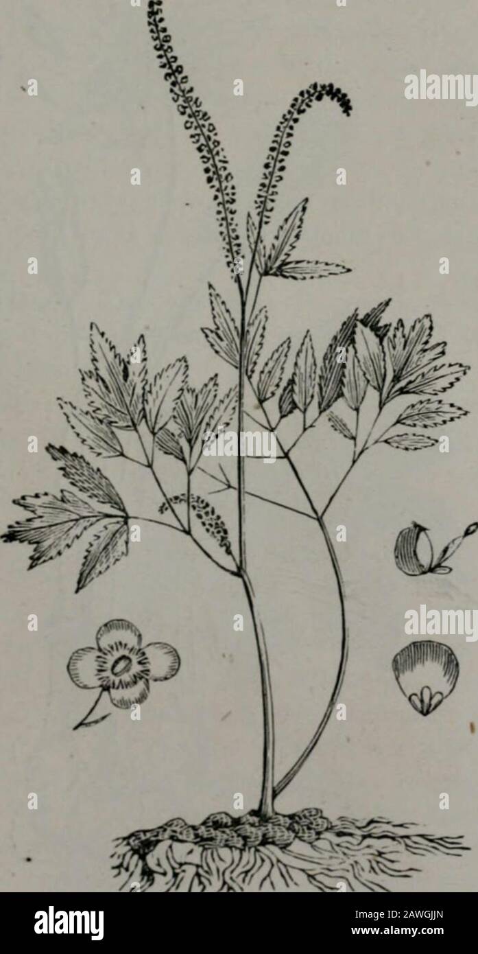 Cutaneous sense hi-res stock photography and images - Alamy