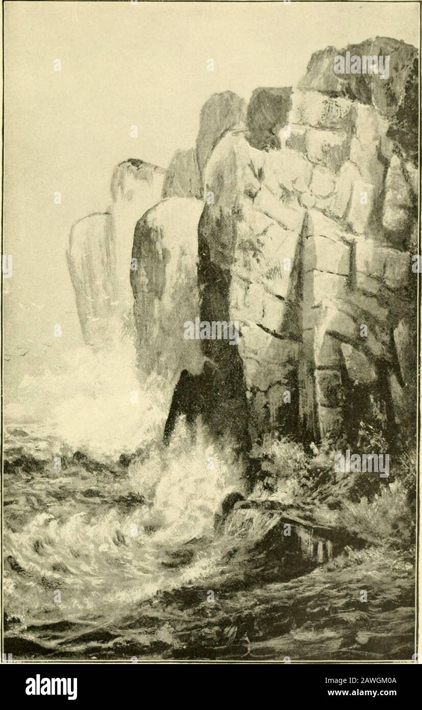 The Pine-tree coast . GAINING.. white mi i>. portlaxd9 sentinel cliff ...