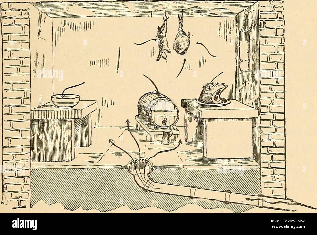 Anatomy, physiology and hygiene . ses of souringand putrefaction, by ...
