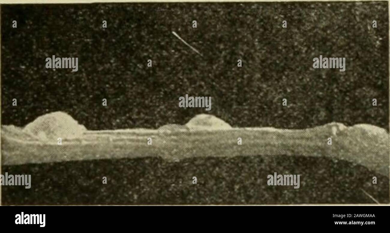 The California fruits and how to grow them; a manual of methods which ...