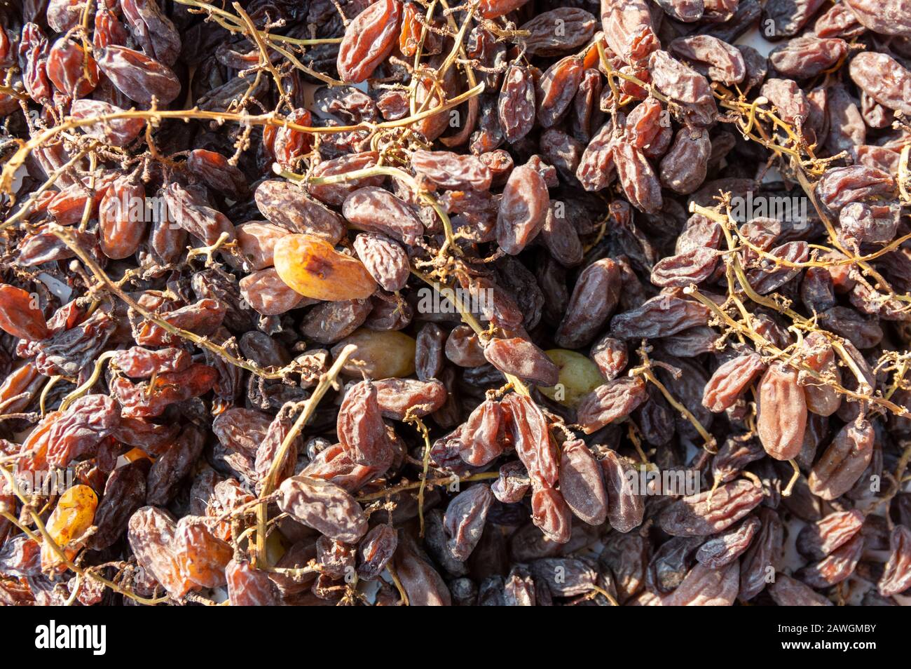 Grapes laid out to dry hi-res stock photography and images - Alamy