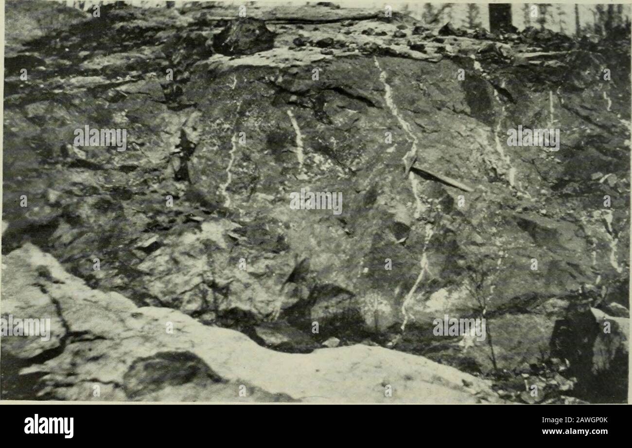 Annual report . ing a mass of red syenite in Cairo andAlma townships ...