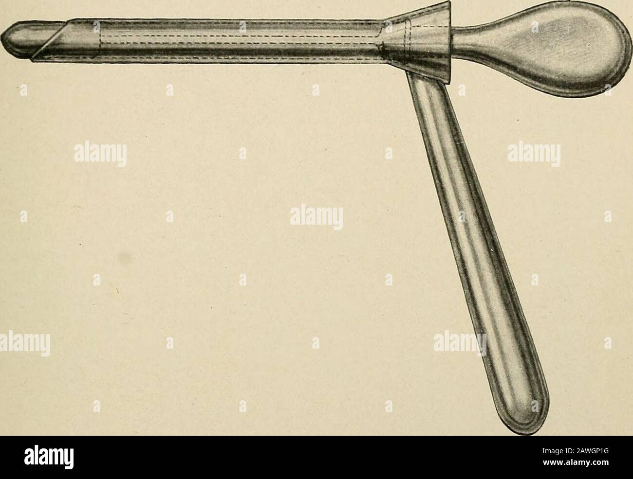 Bladder male female illustration hi-res stock photography and images ...