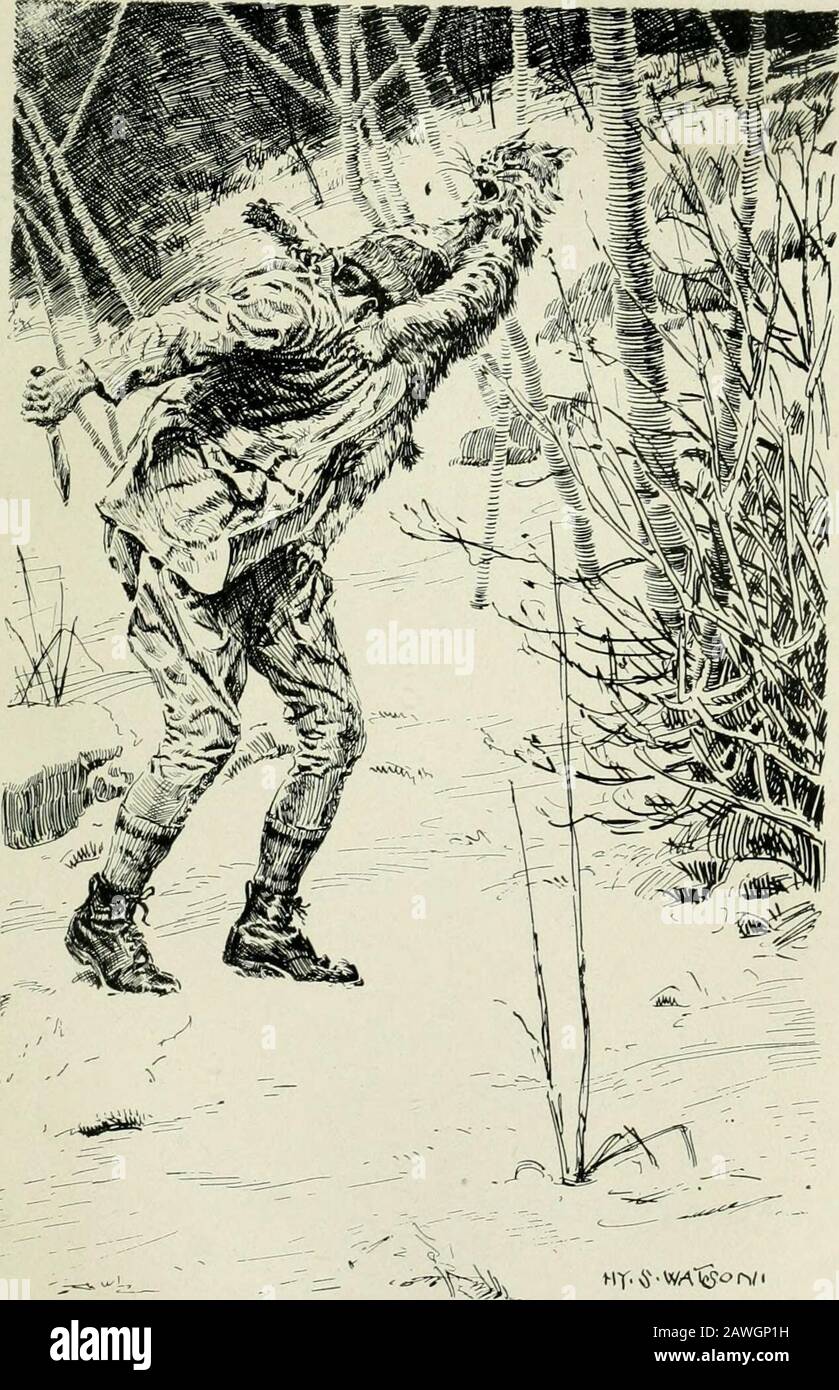 Beast spine hi-res stock photography and images - Alamy