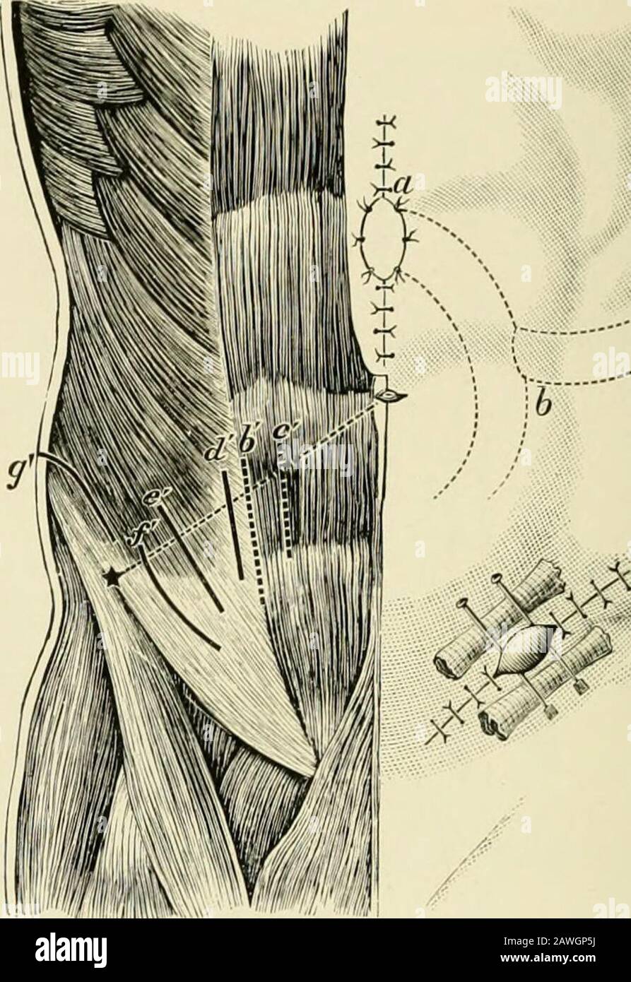 Fi 924 hi-res stock photography and images - Alamy