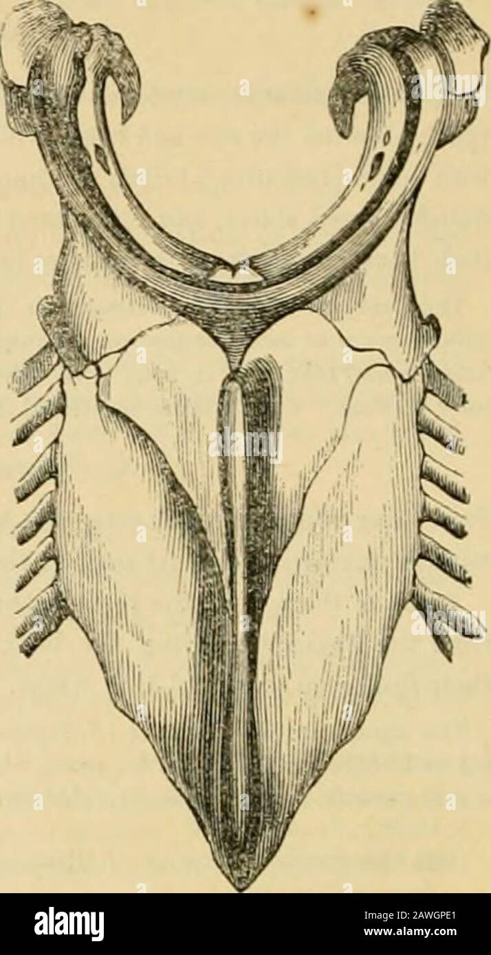 Siu circle hi-res stock photography and images - Alamy