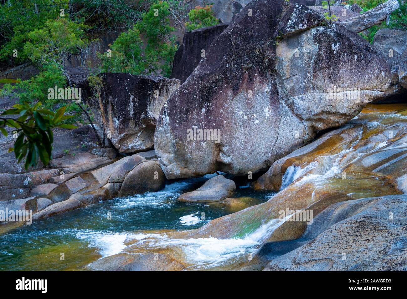 Girramay national park hi-res stock photography and images - Alamy