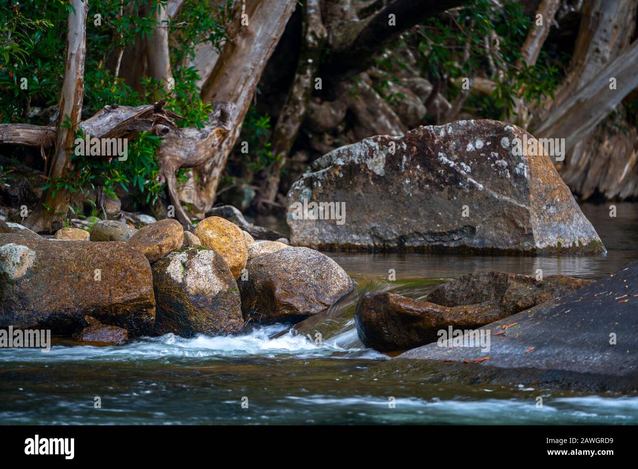 Water cascading over boulders in Murray River Below Murray Falls ...