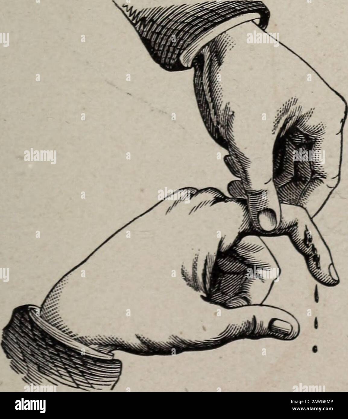 The body and its ailments: a handbook of familiar directions for care ...