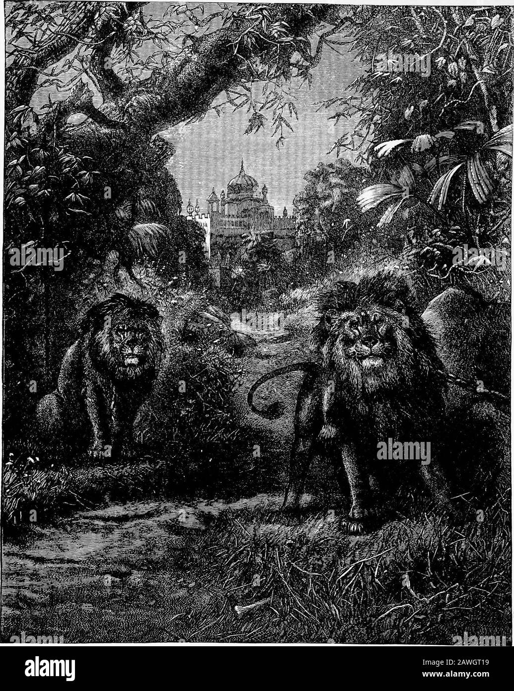 The pilgrim's progress, from this world to that which is to come ...