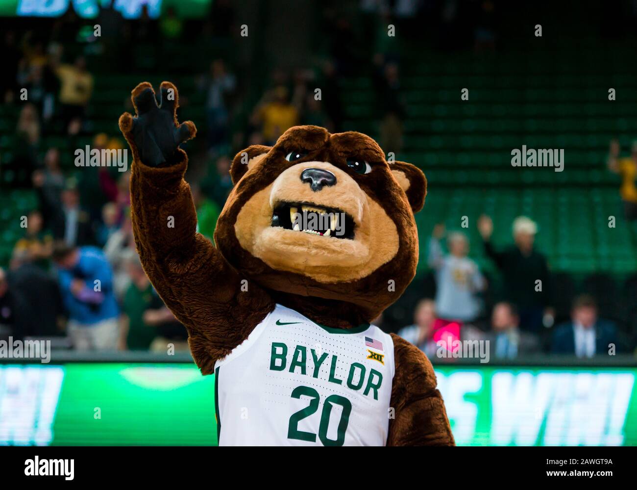 Waco, Texas, USA. 8th Feb, 2020. Baylor Bears mascot (Bruiser) after ...