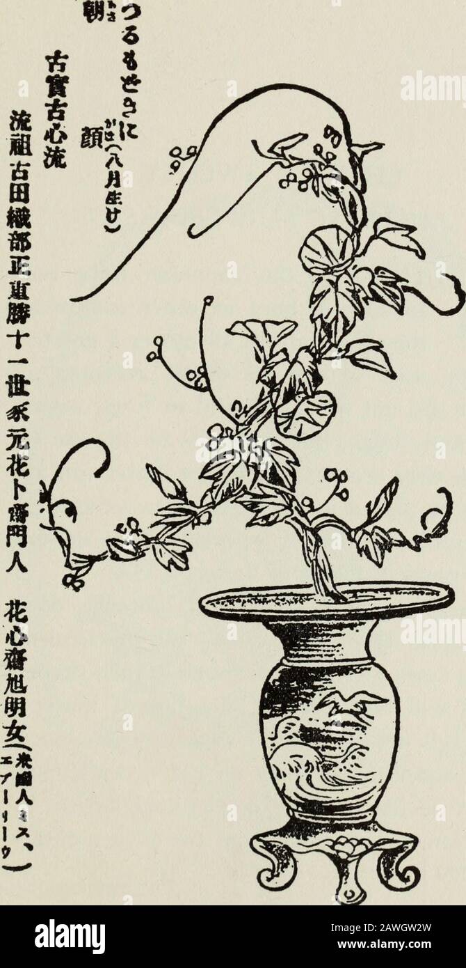 Large receptacles hi-res stock photography and images - Alamy