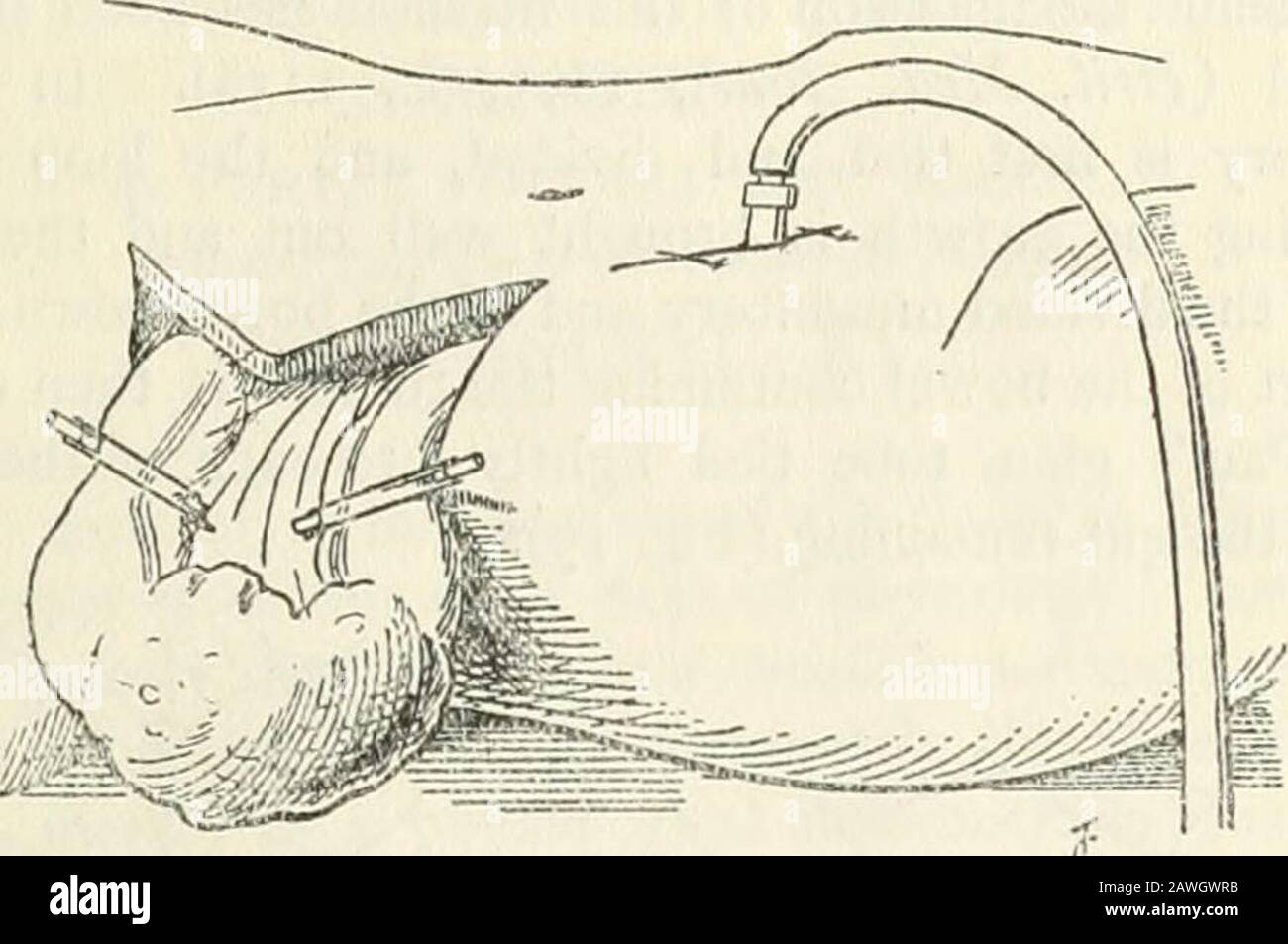 The Practitioner . Fi. 12. Entcrccioiiiy (just before and during the ...