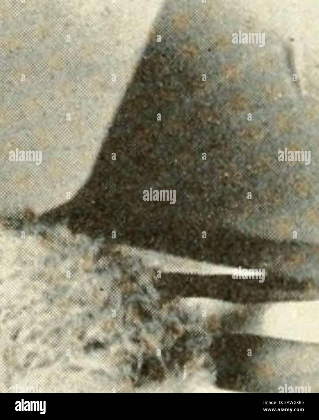 My children's ancestors; data concerning about four hundred New England ...