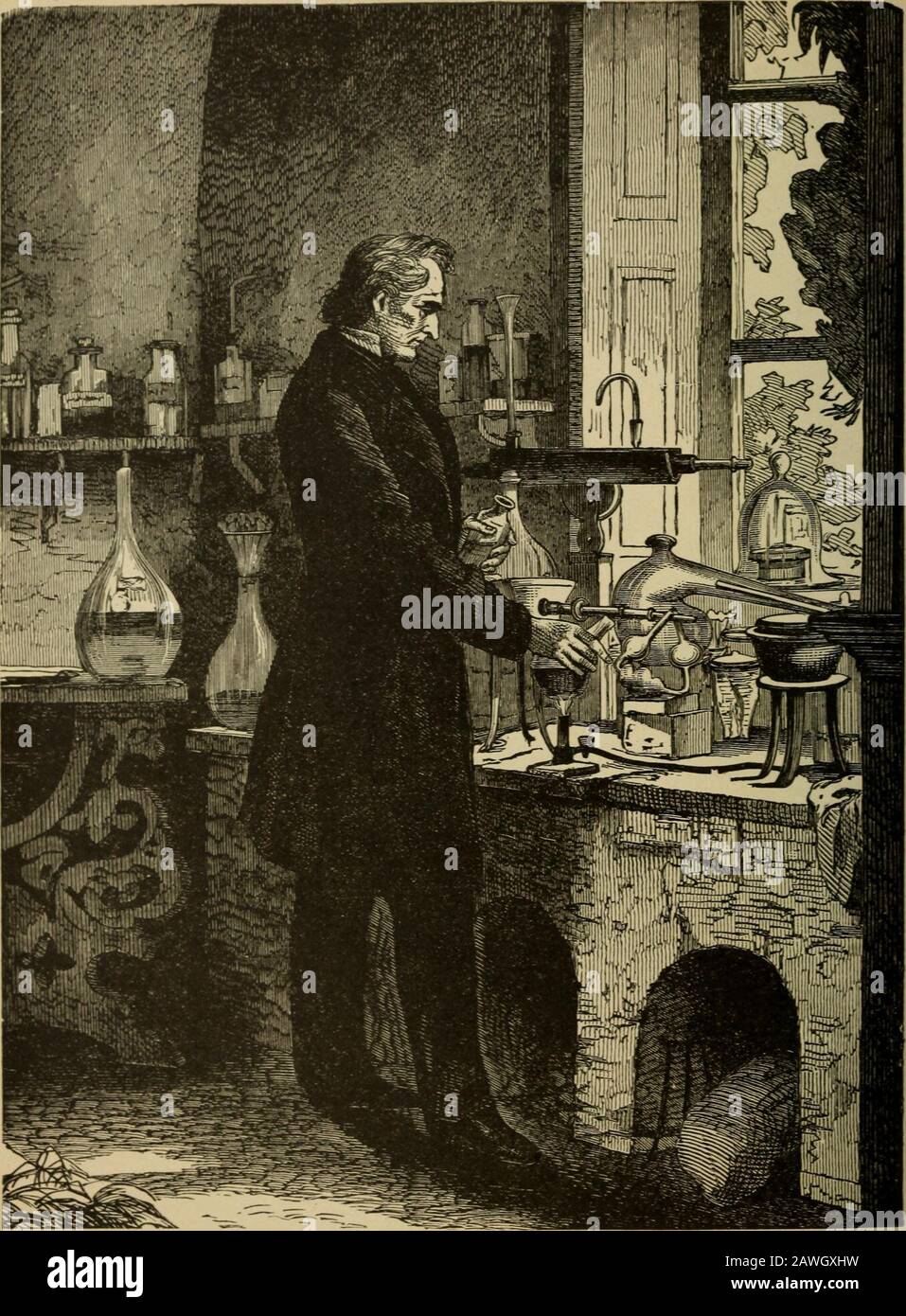 Aurorium hi-res stock photography and images - Alamy