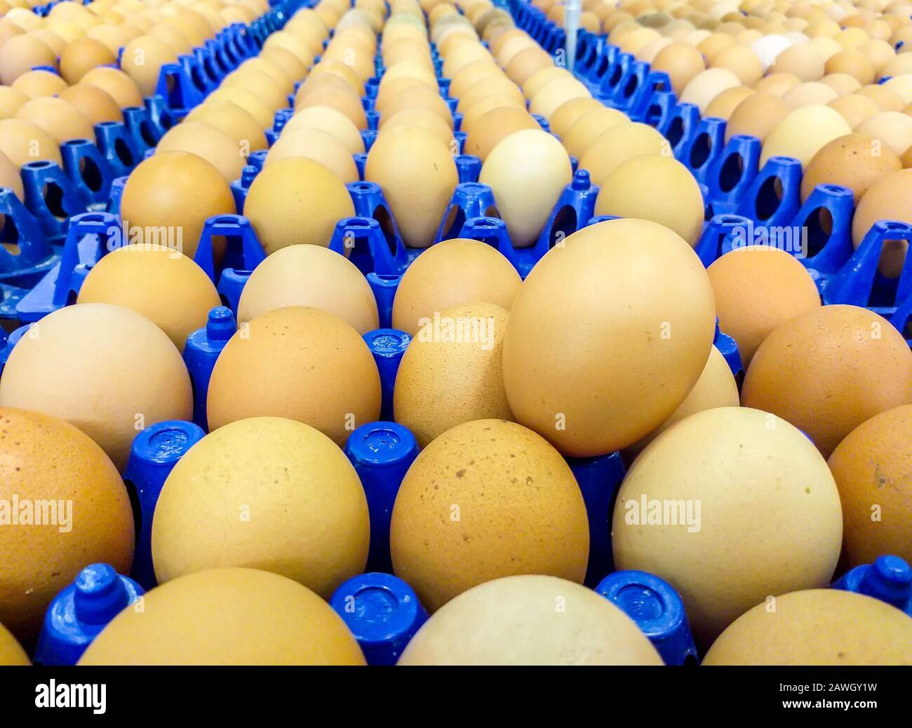 stack of chicken eggs being sold at grocery store Stock Photo - Alamy
