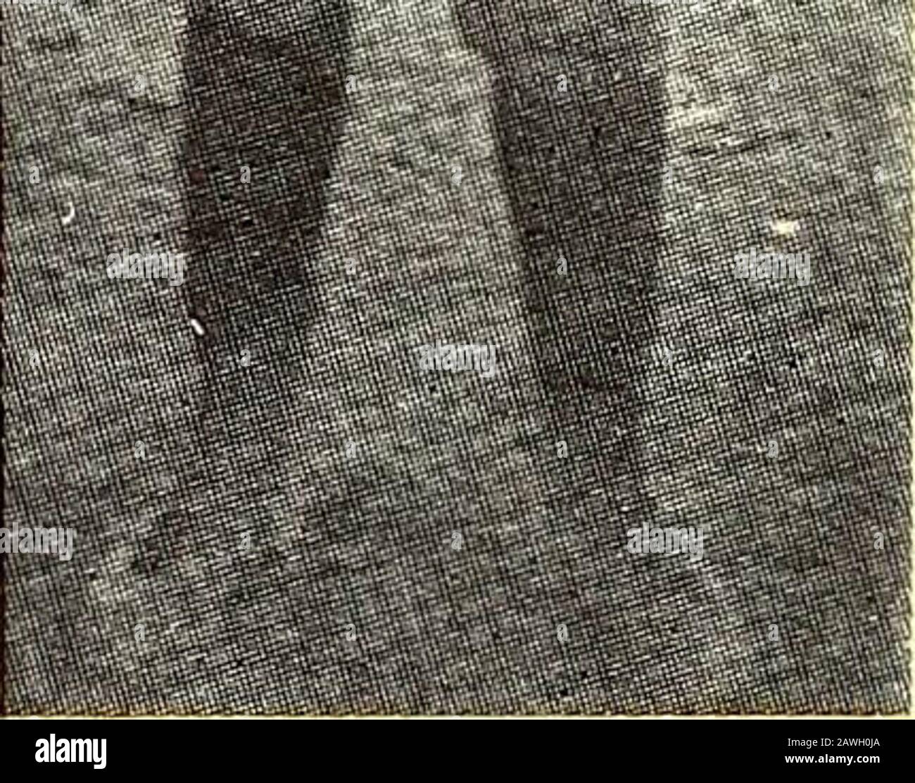 Fake cowboy hi-res stock photography and images - Alamy