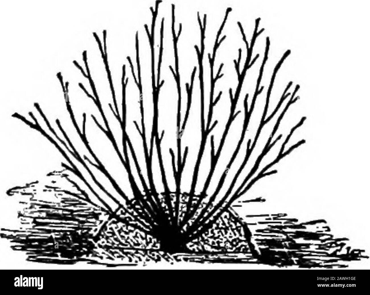 Shallow furrow Cut Out Stock Images & Pictures - Alamy