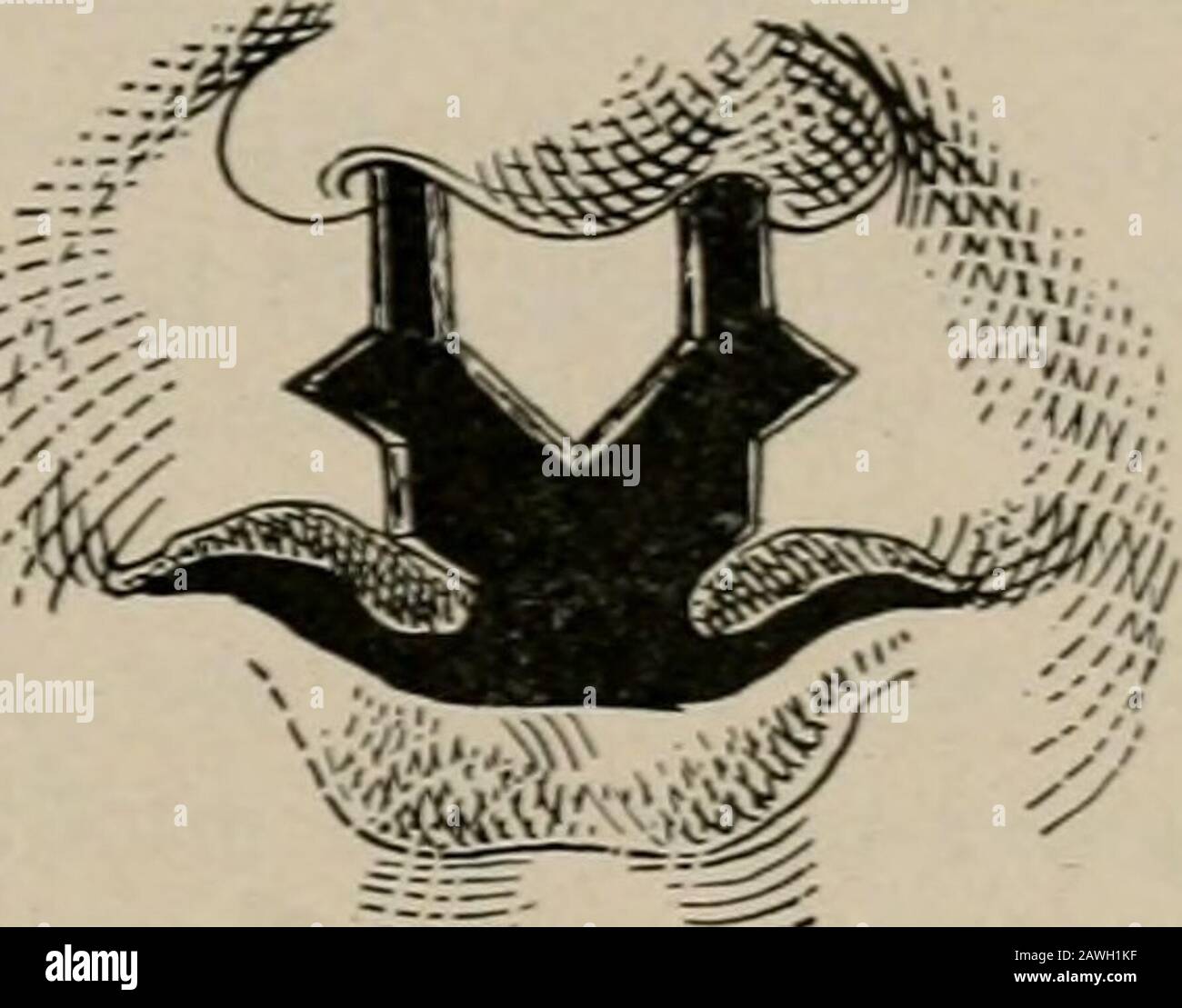 Double harelip hi-res stock photography and images - Alamy