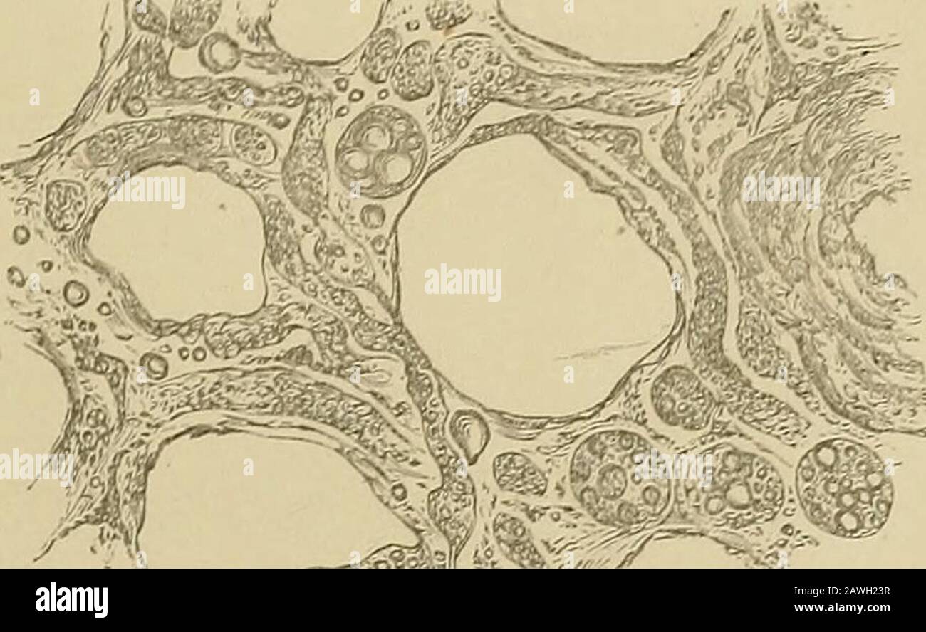 Generally the matrix hi-res stock photography and images - Alamy