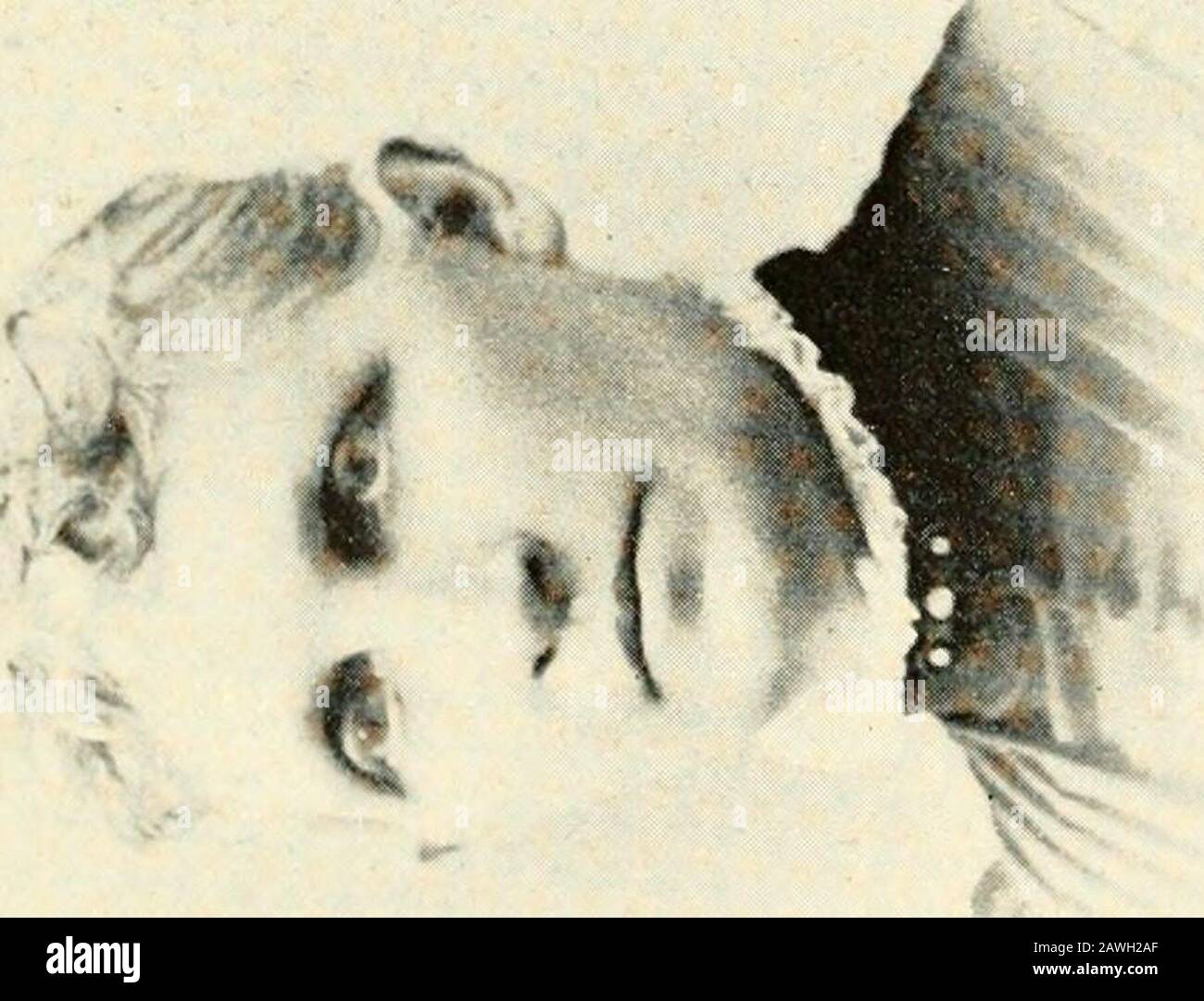 My children's ancestors; data concerning about four hundred New England ...