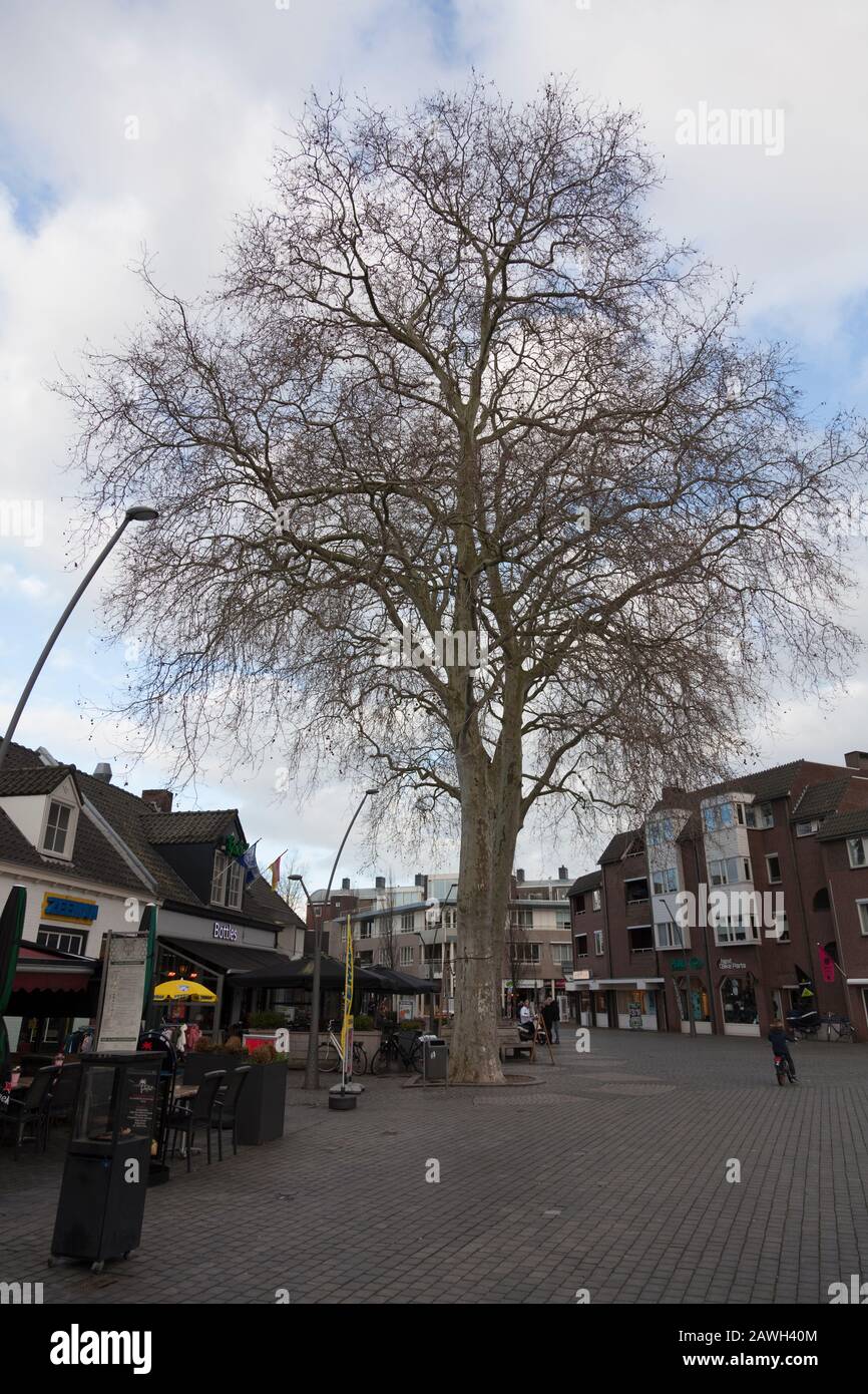 Rosmalen , Netherlands Stock Photo - Alamy
