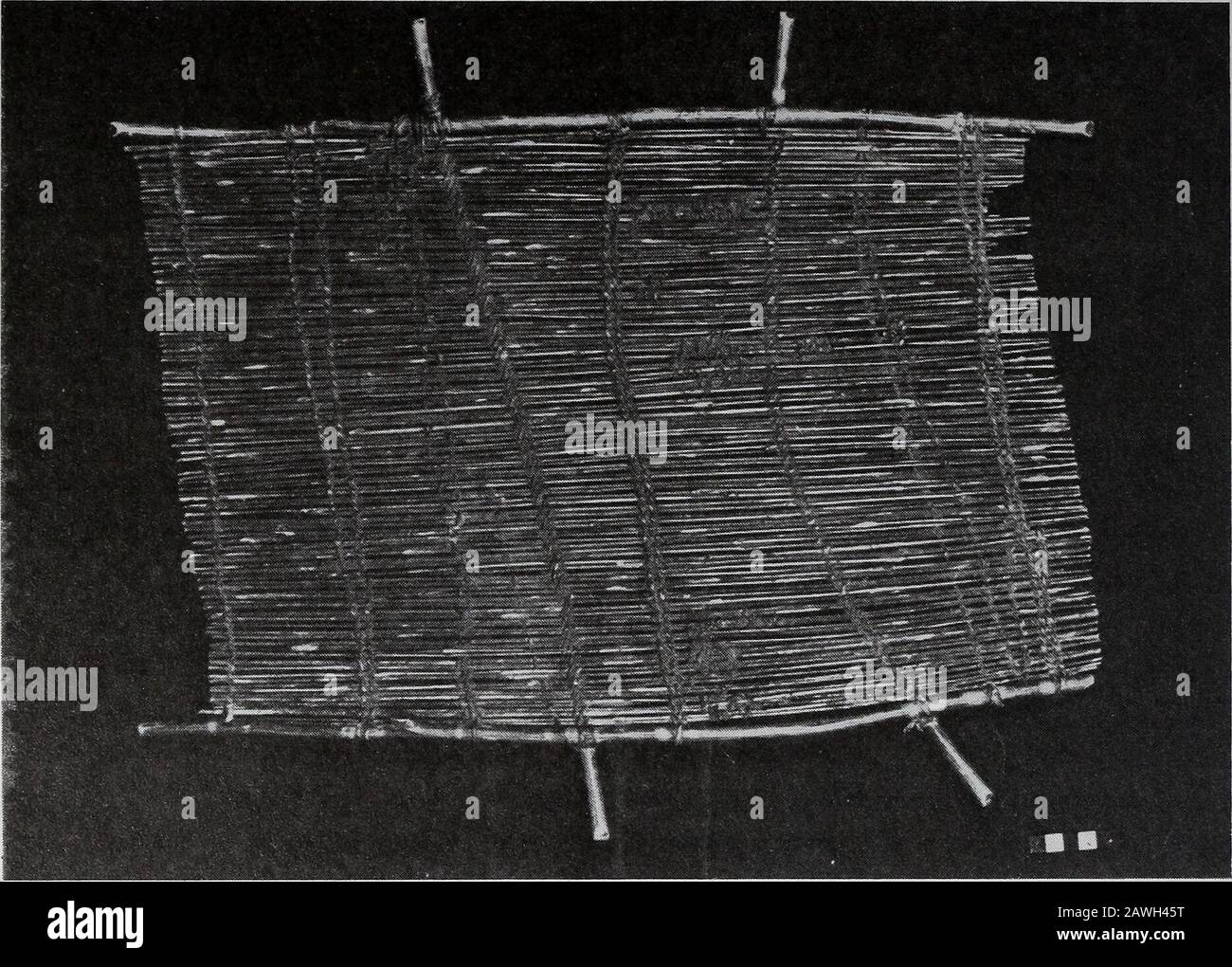 Sinew sewing hi-res stock photography and images - Alamy