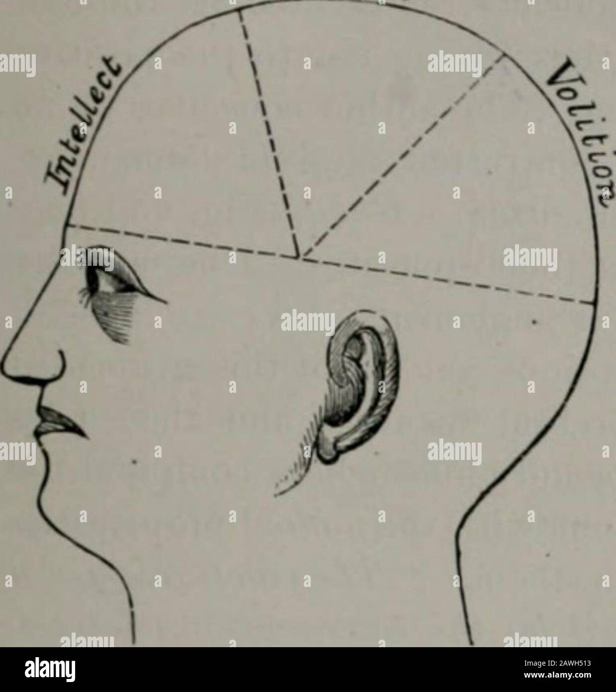 Bodily function hi-res stock photography and images - Alamy