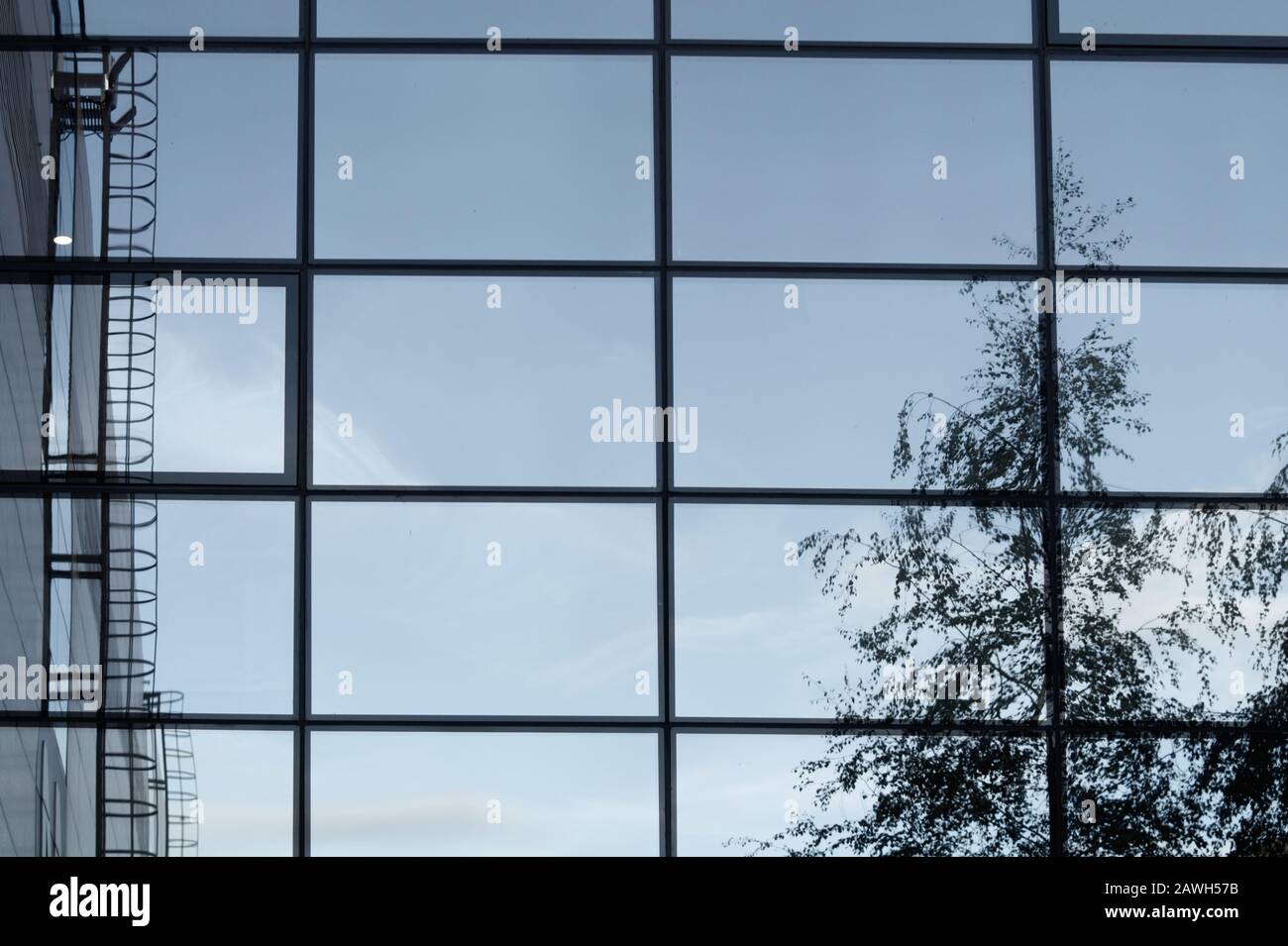 Glass Window Reflection