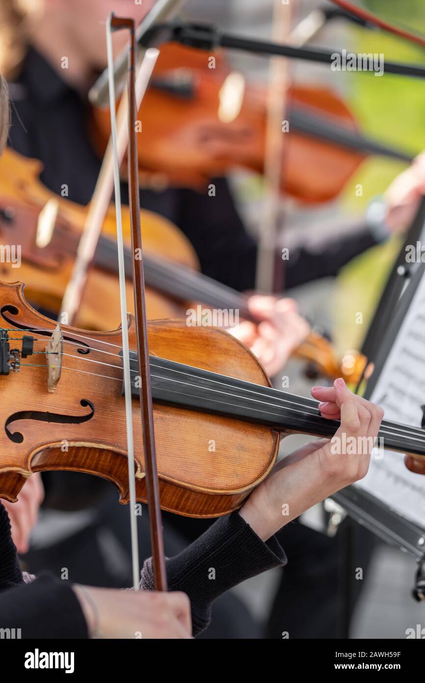 Playing Viola High Resolution Stock Photography and Images - Alamy
