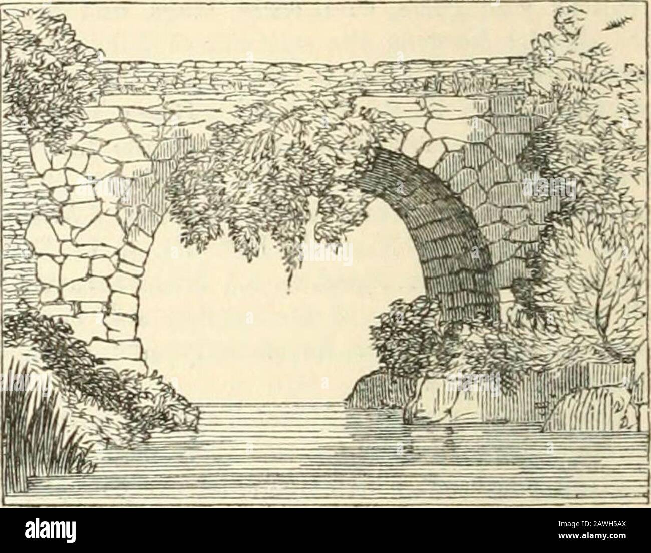 Concentric appearance hi-res stock photography and images - Alamy