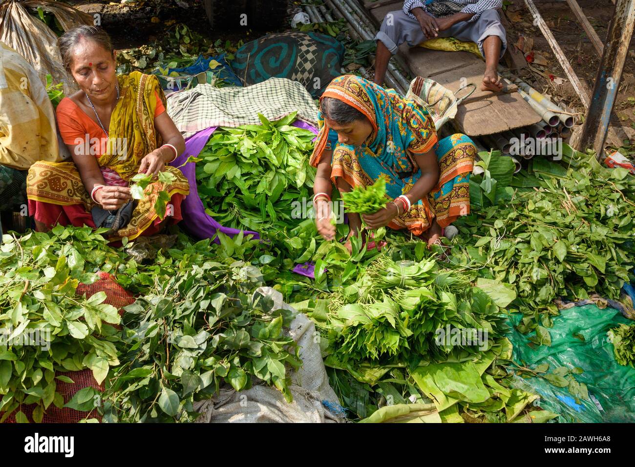 Indian women sellers on Flower market at Mallick Ghat in Kolkata. India ...