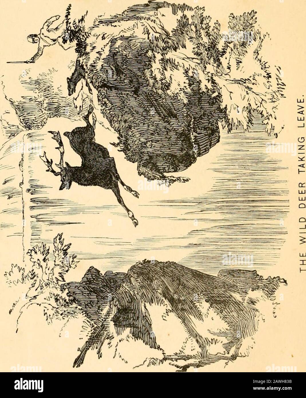 Genealogy of the Caverly family : from the year 1116 to the year 1880 ...